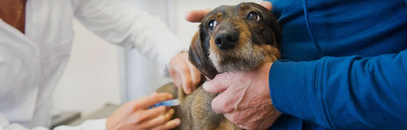 Qualifications Overview - Applied Vocational Training