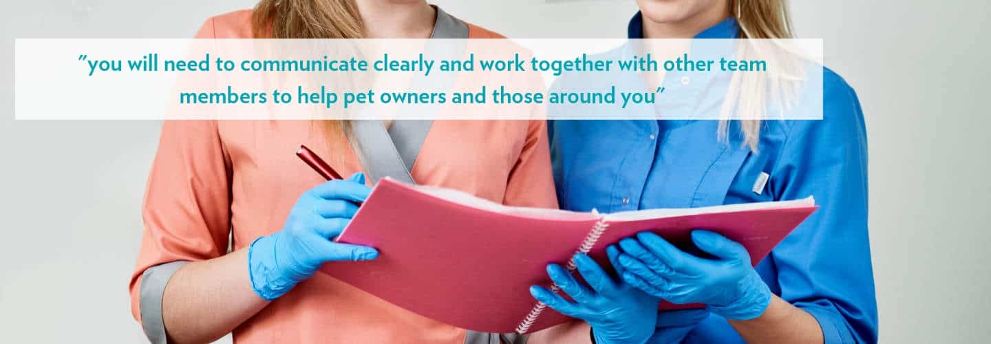 What are the top qualities of a veterinary nurse? - Applied Vocational ...