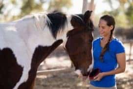 Ten Rewarding Jobs that Involve Working with Horses (Equine)