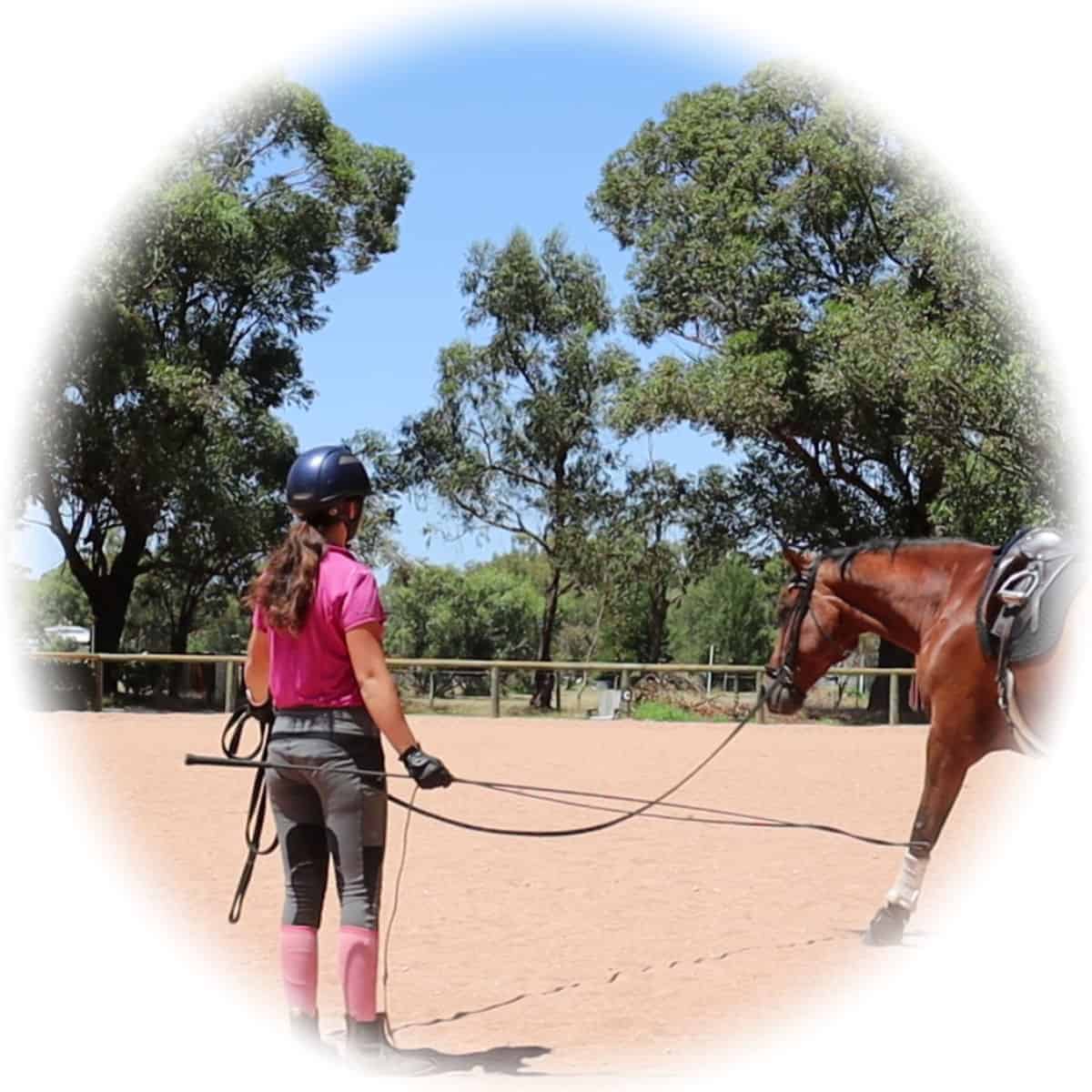 Top Careers Working With Animals and Salary Expectations in Australia ...