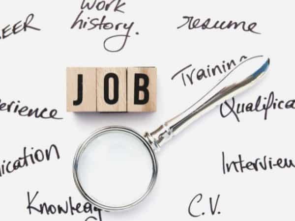 A Career in Animal Care: Creating the Perfect Resume