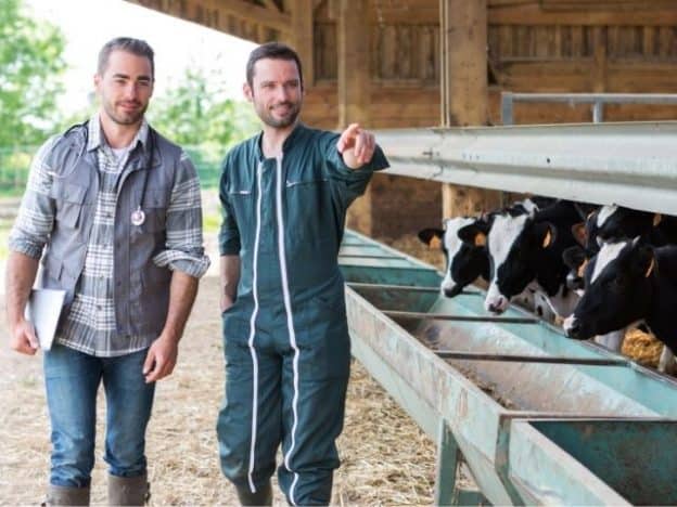 Top 6 Animal Care Jobs - a Career working with Animals