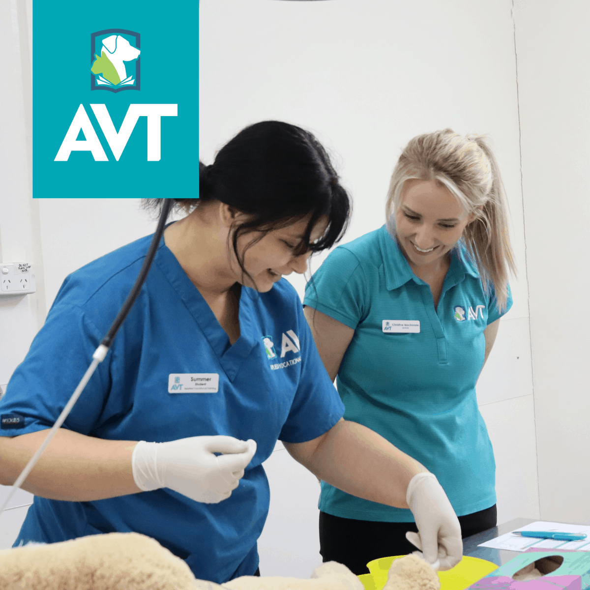 ACM20121 Certificate II in Animal Care - Veterinary Nursing Pathway