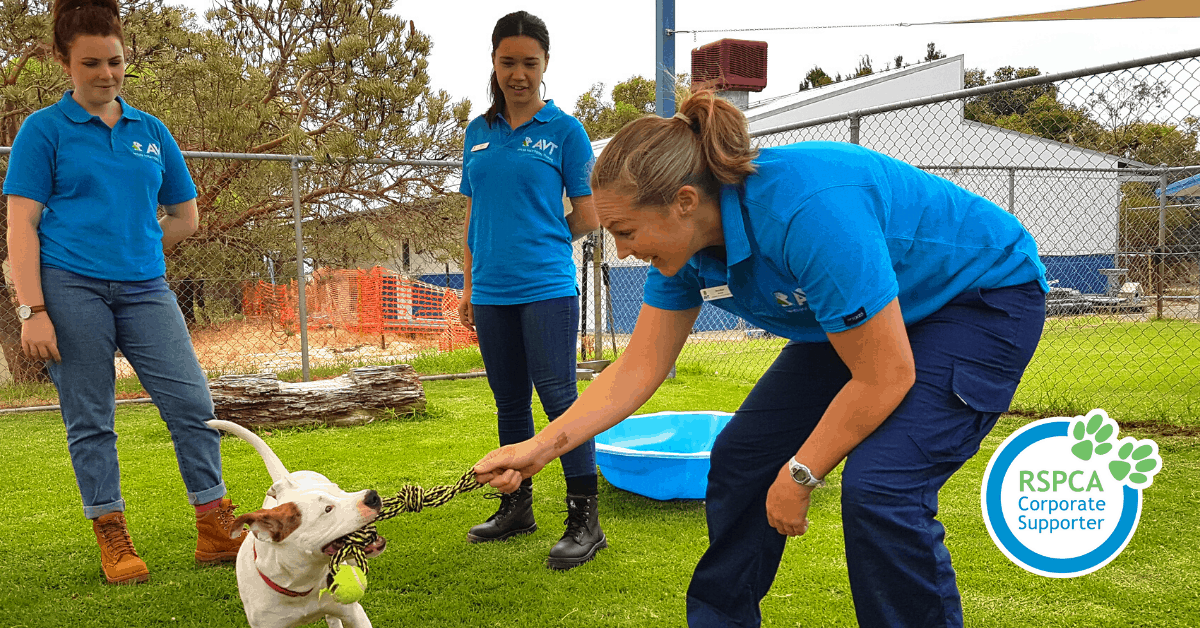 Working with Animals - Making your dream a reality