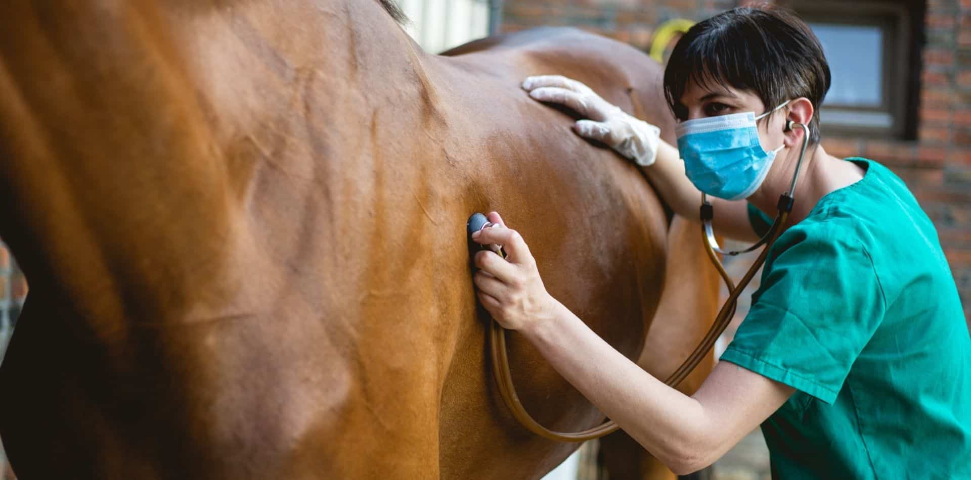 Applied Vocational Training – AVT