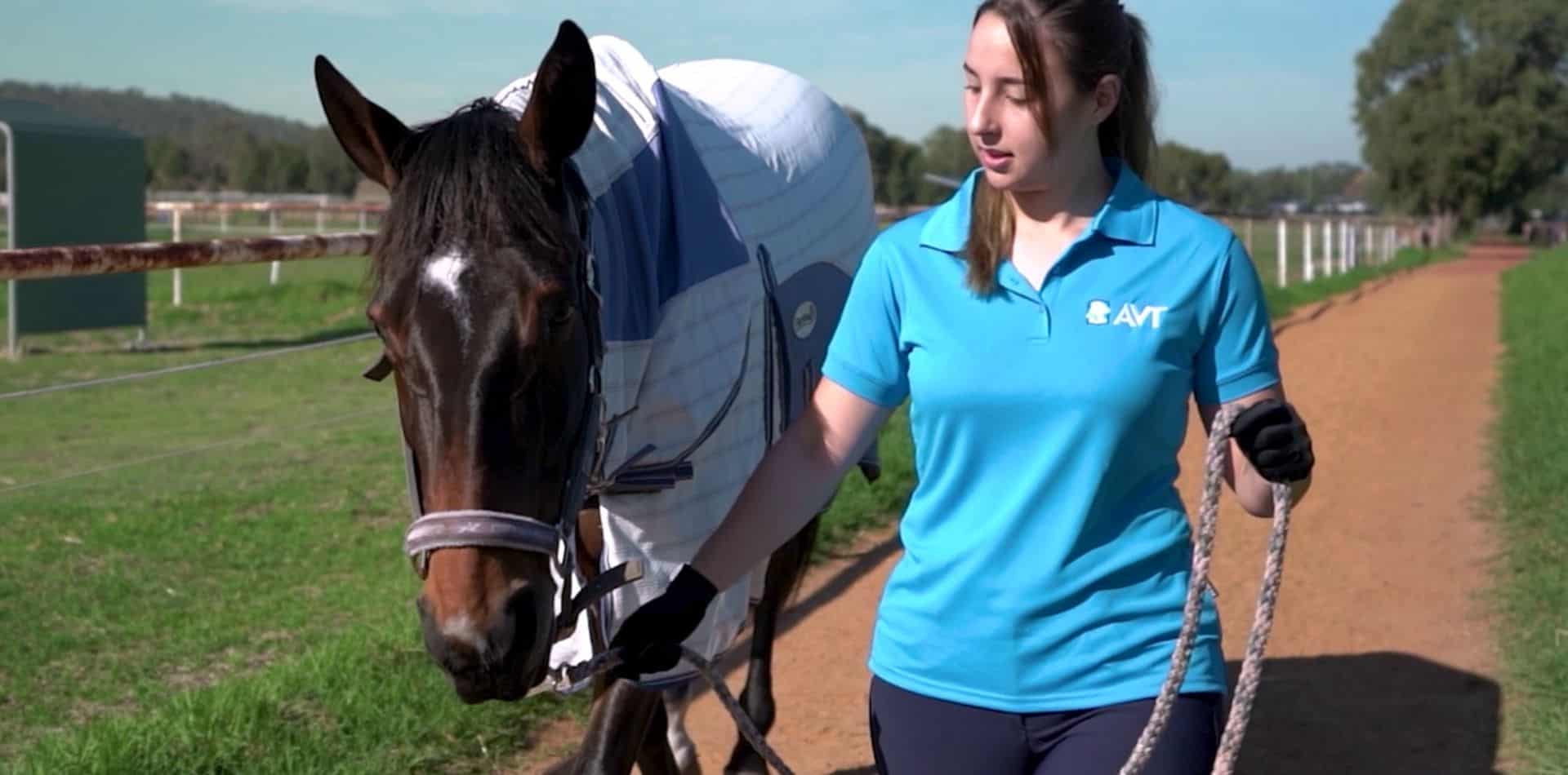 Short Courses for Veterinary Nursing, Animal Care, Horse Care, Behaviour