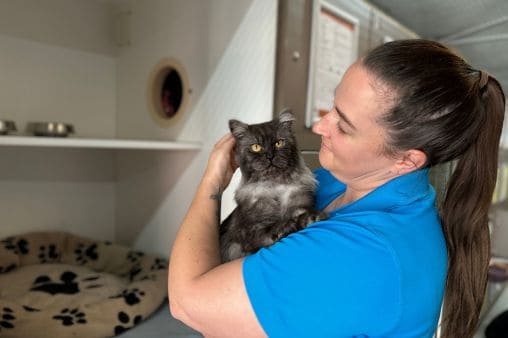 Graduate's Guide: Boost your professional profile in animal care