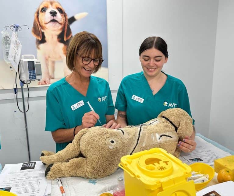 AVNAT CPD Courses for Vet Nurses | AVT Platinum VNCA Partner