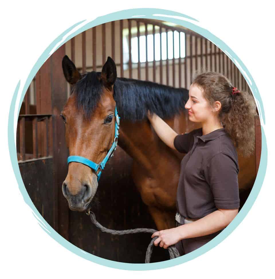 How to Become a Stable Hand in Australia
