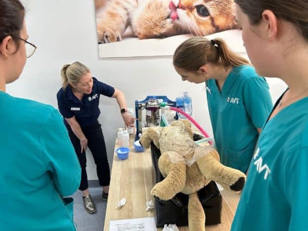 Advanced Veterinary Nurse Recognition Announced in WA